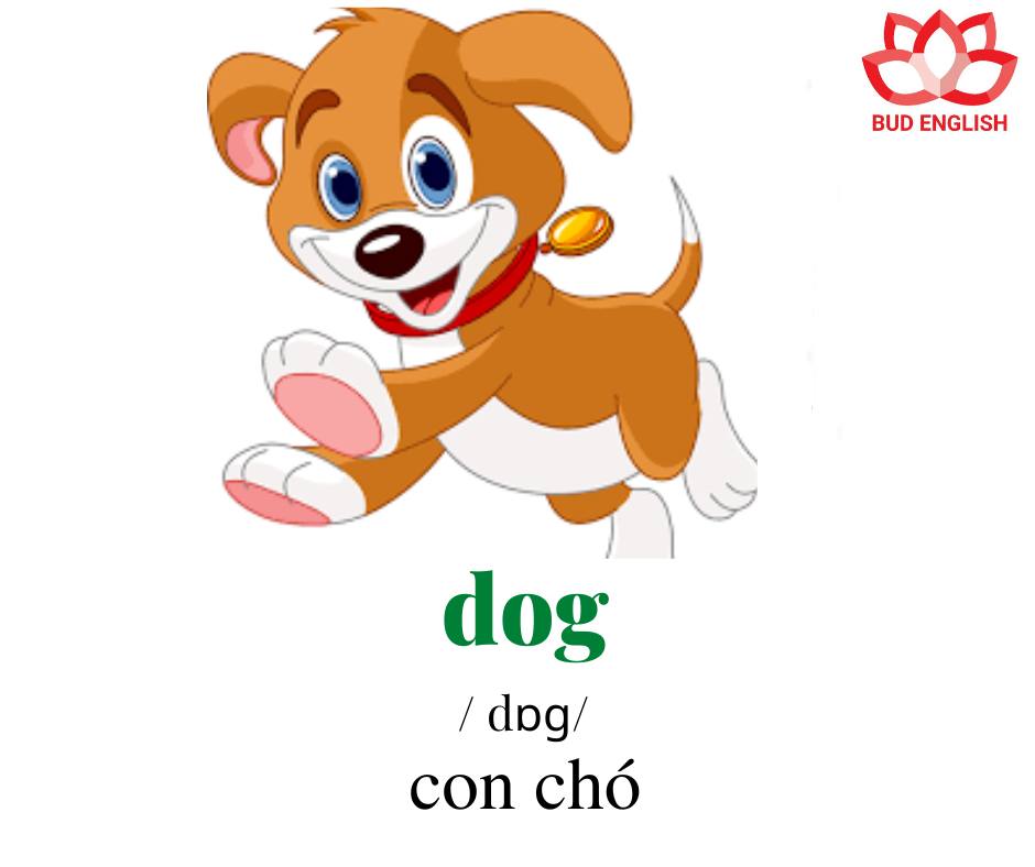 Tiếng anh về các con vật - Anh Ngữ BUD - Trung Tâm Tiếng Anh Mầm Non ...